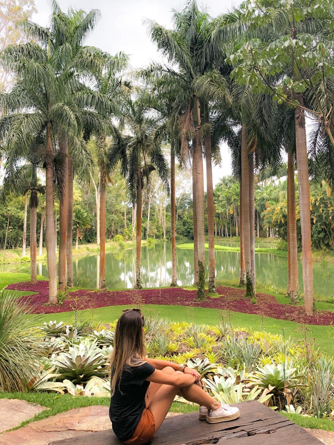 Parque de Inhotim - Sonhando e Viajando